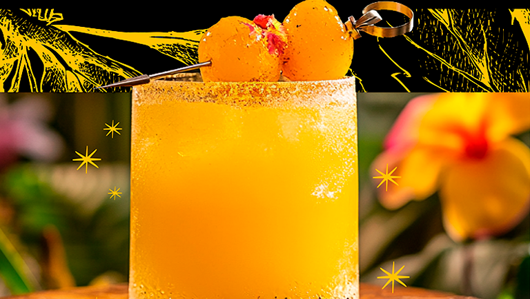 Circuito Amazônia Sour reúne 31 drinks com ingredientes amazônicos até ...